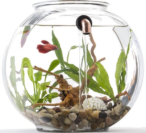 Beautiful Self Cleaning Fish Tanks Save You Time & Money (2020)