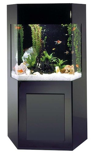 Best 50 Gallon Fish Tanks - Fish Supply Guide