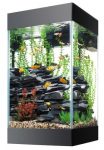 Best 15 Gallon Fish Tanks - Fish Supply Guide