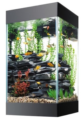 Best 15 Gallon Fish Tanks - Fish Supply Guide
