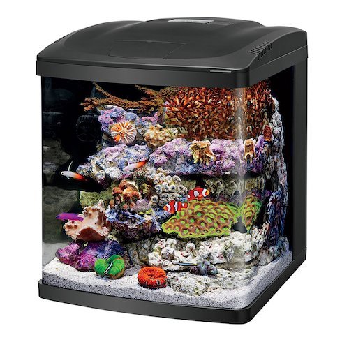 Best 15 Gallon Fish Tanks - Fish Supply Guide