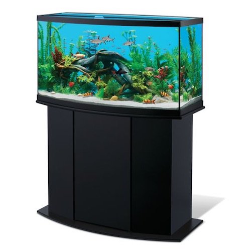 Best 45 Gallon Fish Tanks - Fish Supply Guide