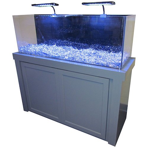 Best 50 Gallon Fish Tanks - Fish Supply Guide