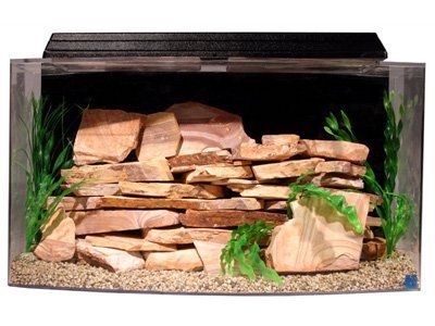 Best 45 Gallon Fish Tanks - Fish Supply Guide