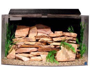 Best 45 Gallon Fish Tanks - Fish Supply Guide
