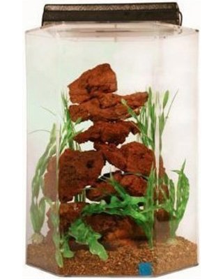 Best 15 Gallon Fish Tanks - Fish Supply Guide