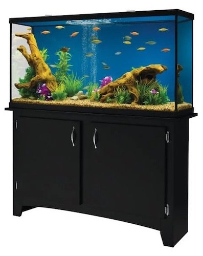 Best 60 Gallon Aquarium - Fish Supply Guide